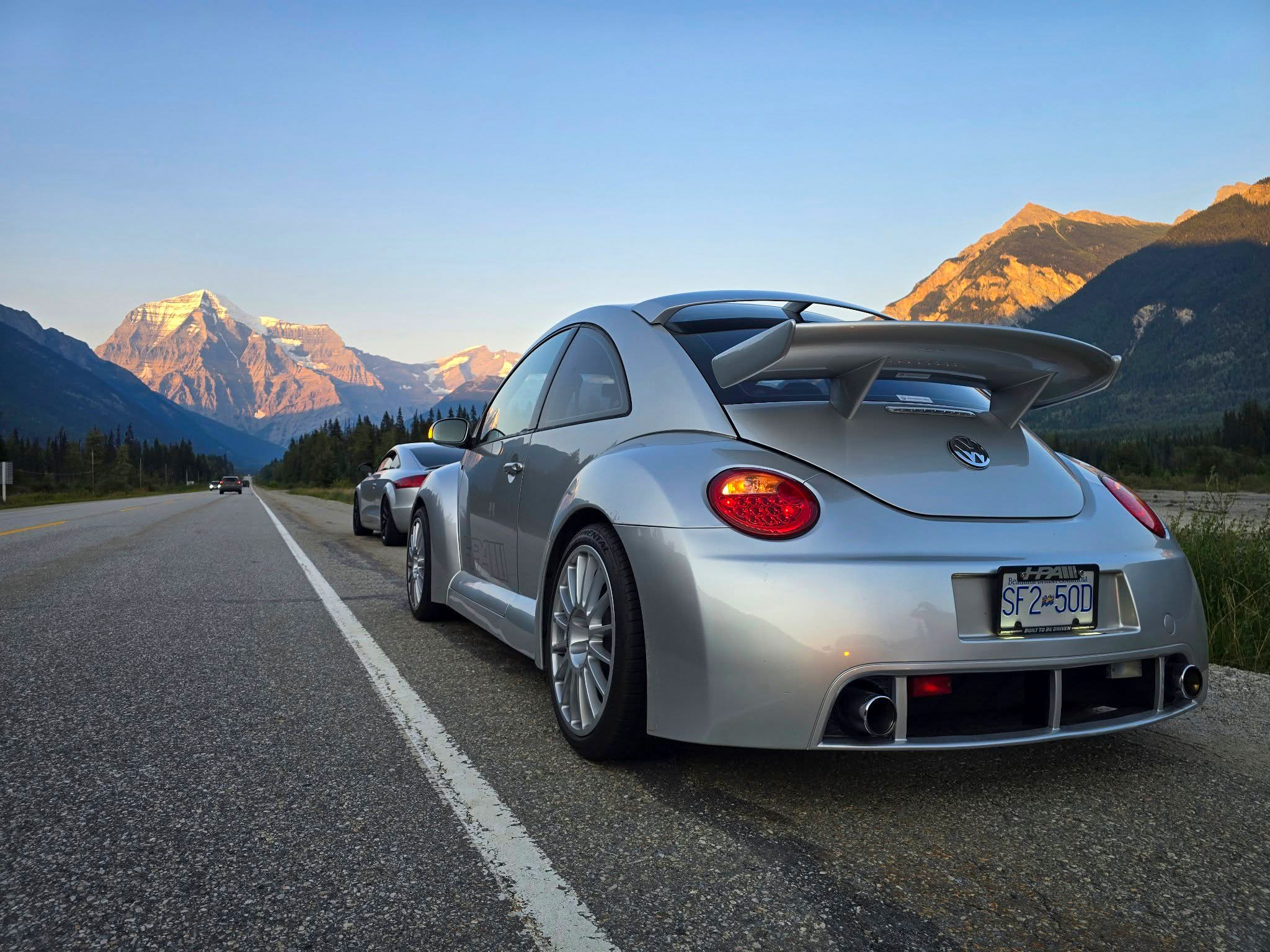The World’s Most Expensive Beetle Visits the Yukon