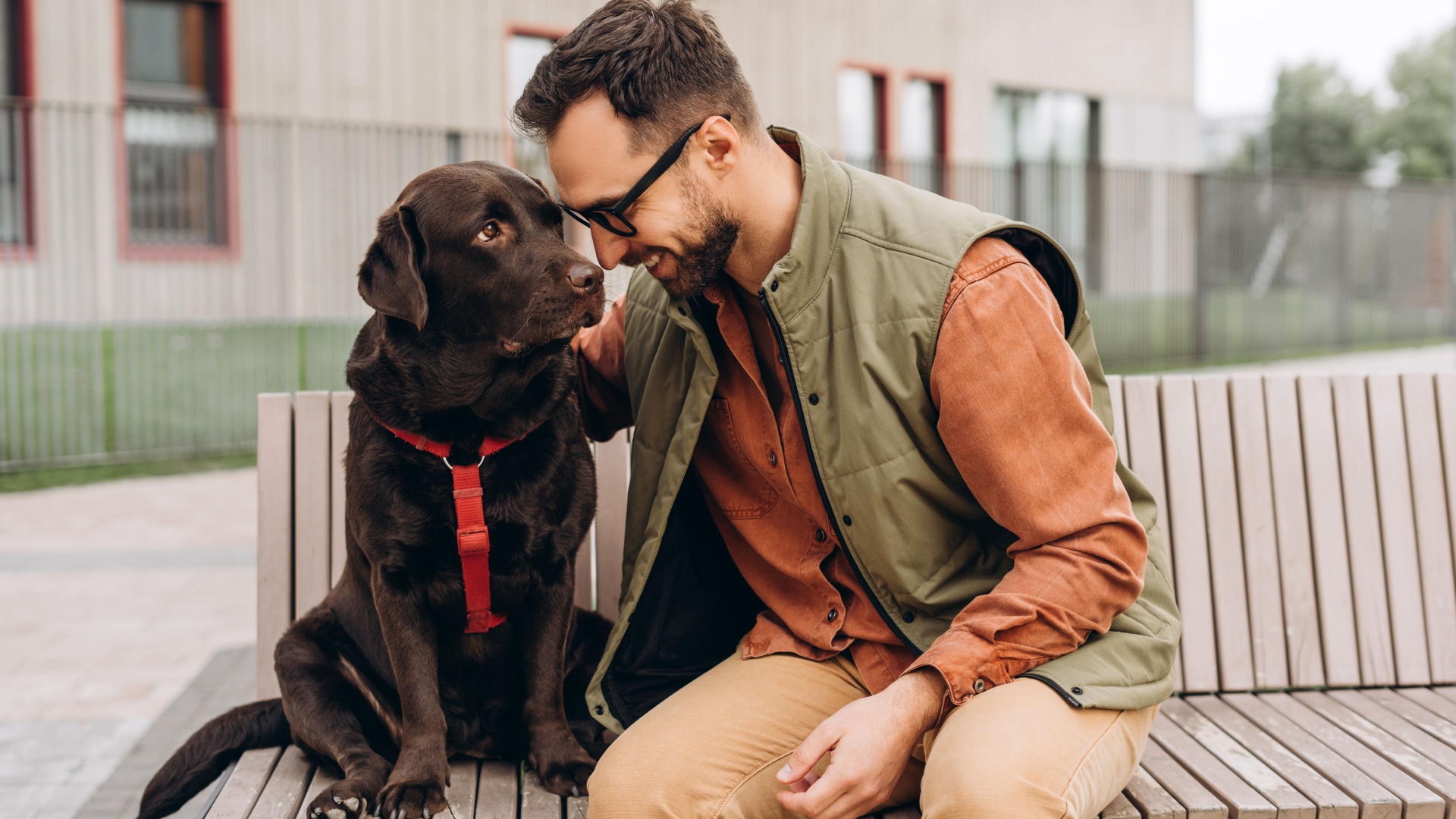 Things Humans Do That Secretly Upset Dogs