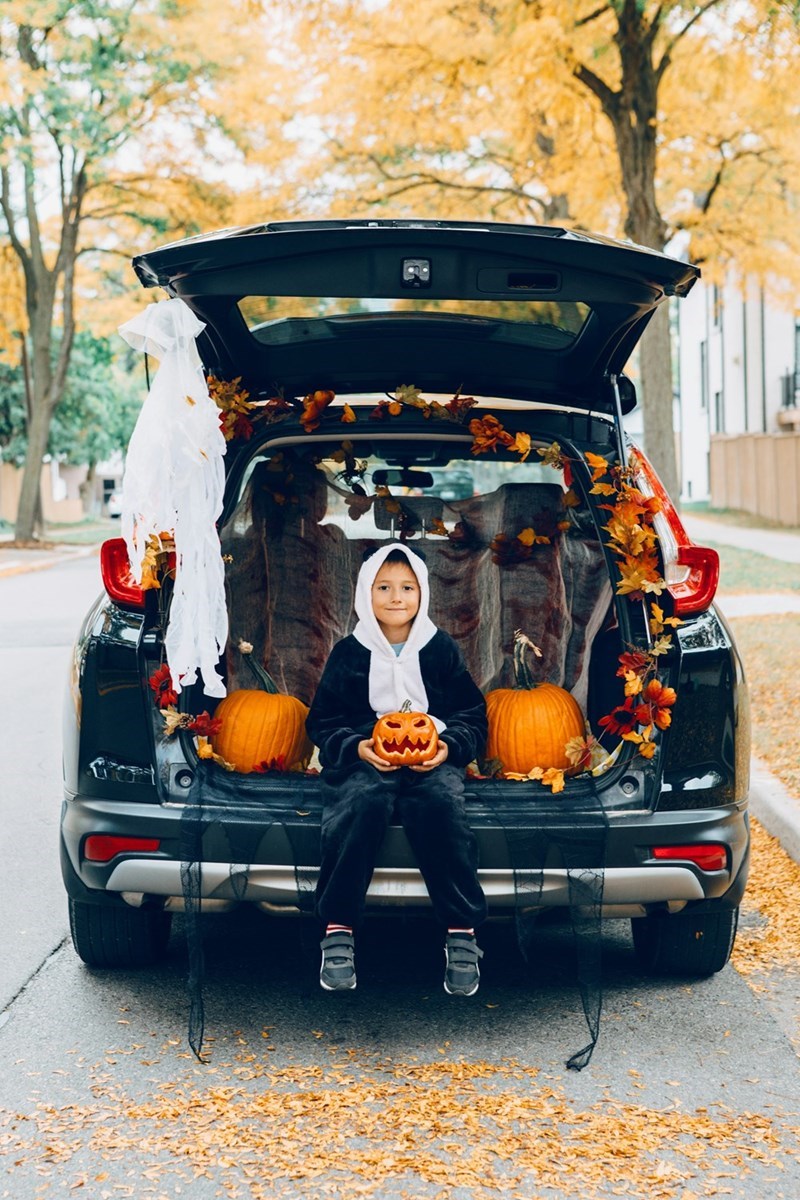 new neighbor of only 2-months starts a petition to ban halloween ...