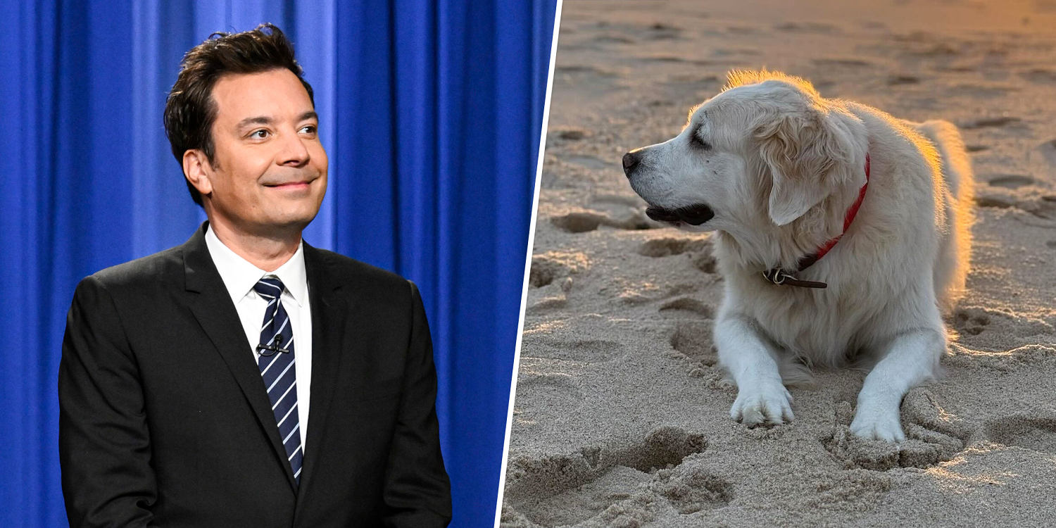 Jimmy Fallon Reveals His Beloved Dog Gary Died in Heartfelt Tribute