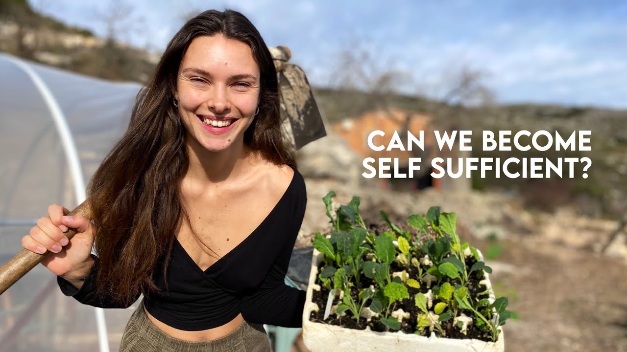 Watch us turn abandoned land into a homestead!