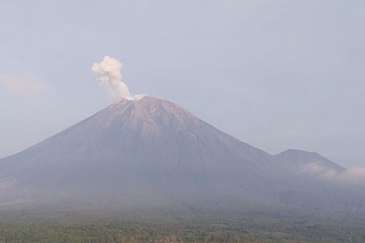Gunung Semeru Erupsi dengan Tinggi Letusan 800 meter
