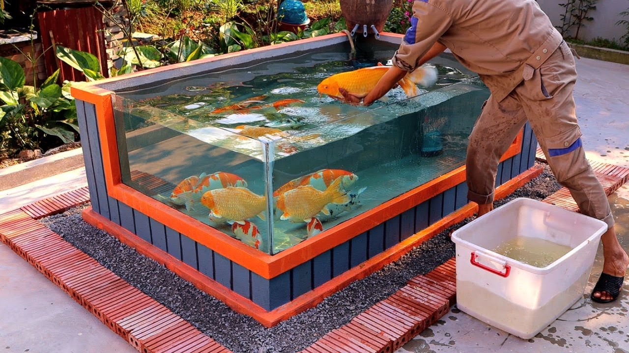 How to build an outdoor aquarium - design & decoration tips