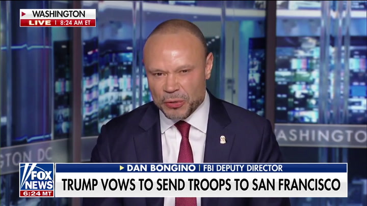 Trump Goon Sounds Off on GOP Lawmaker Leading Epstein Push