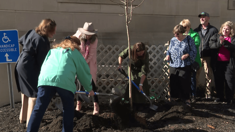 ‘Appalachian Spring’ tree-planting project kicks off in Charleston
