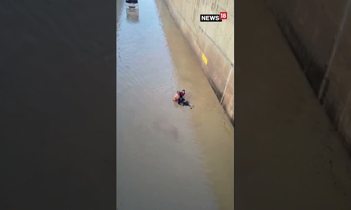 Turkish Emergency Workers Rescue Woman In Wheelchair From Drowning ...