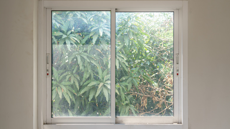 10 Easy Tricks To Get Rid Of Smudges From Glass And Windows