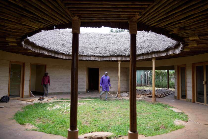 A mushroom farm in Kenya and fungi-based panels give hope for ...