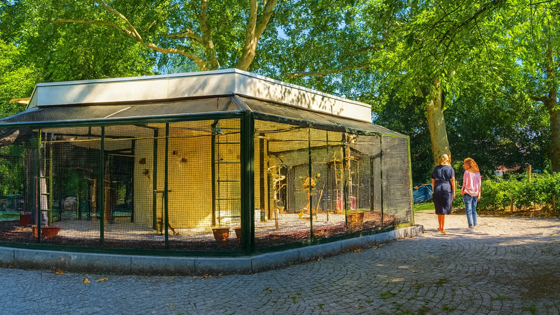 Maastricht City Park Walk