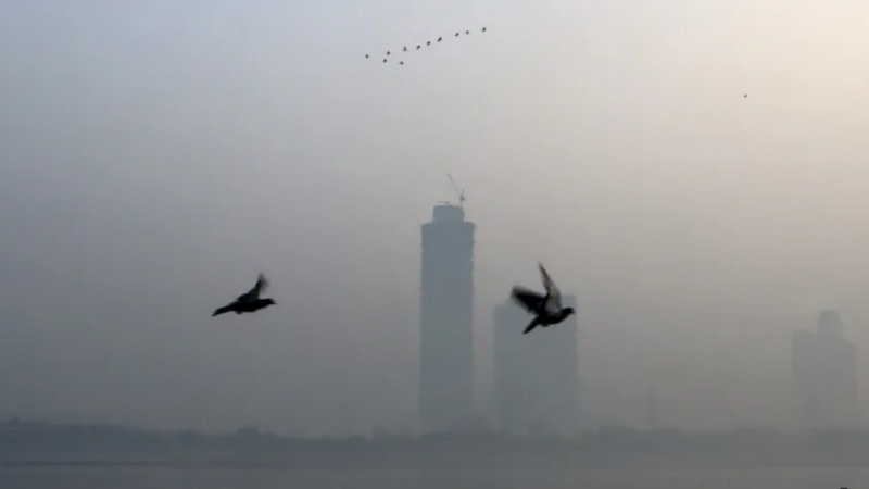 UP AQI: ‘गैस चैंबर’ बना दिल्ली-NCR....दिवाली के बाद दमघोंटू हुई नोएडा ...