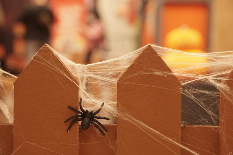 Do Fake Spiderwebs and Halloween Decorations Hurt Birds?