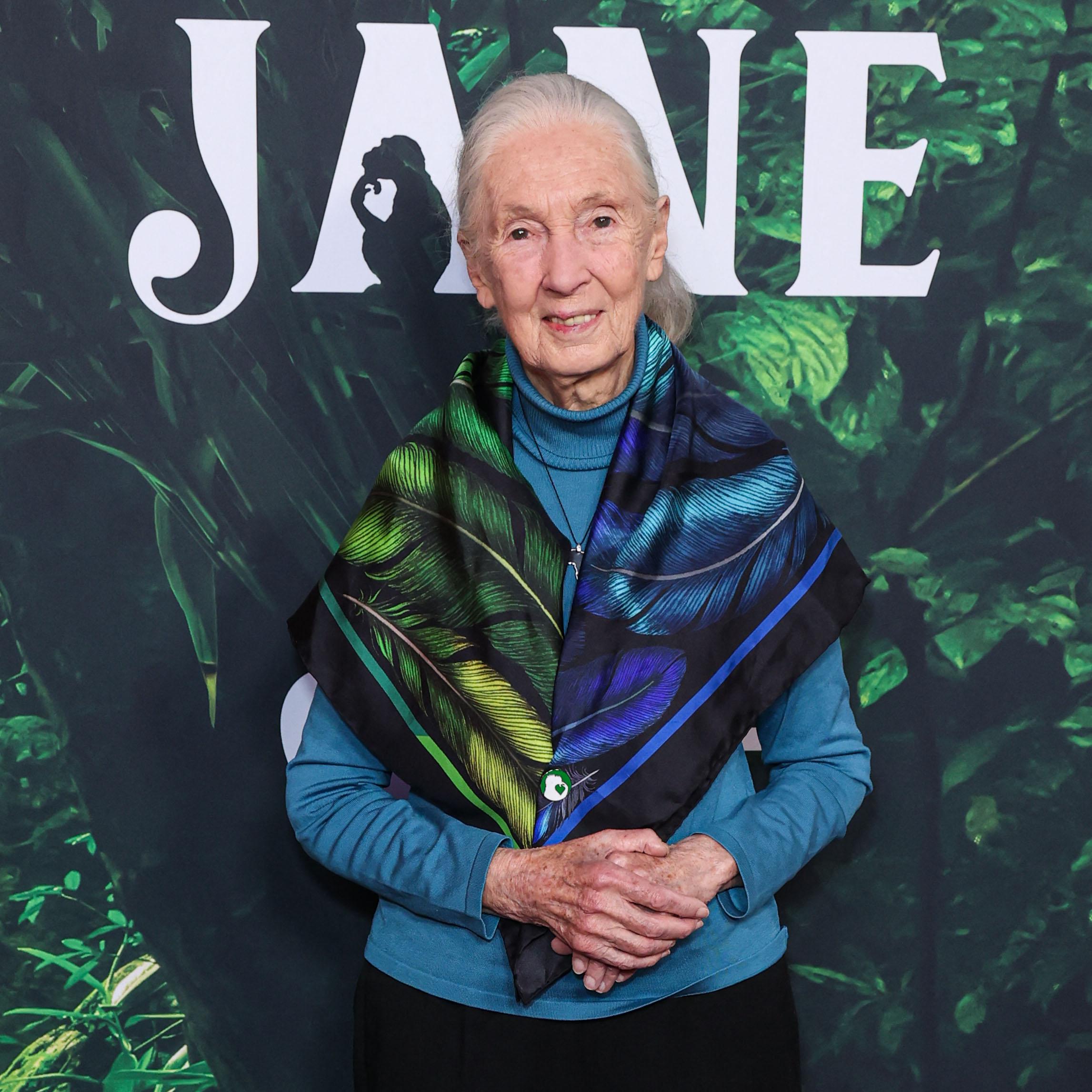 Conservation Icon Jane Goodall's Cause Of Death Revealed