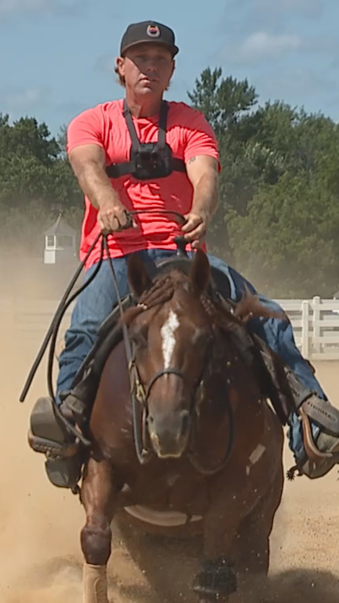 Behind the "cowboy" sport of horse reining