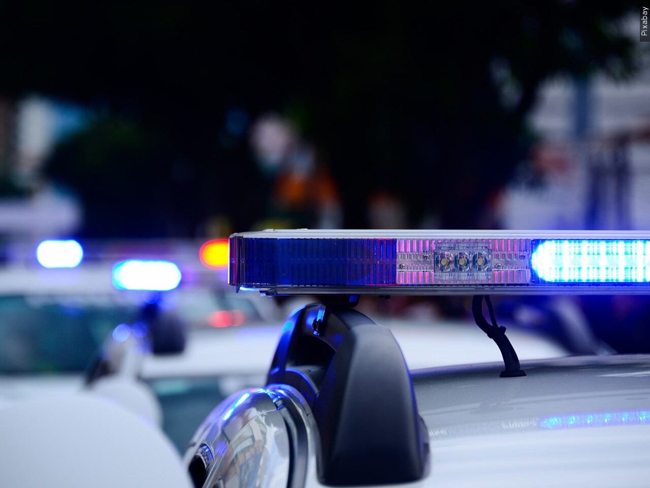 TPD: Child bitten by dog while left unsupervised, charge against mother ...