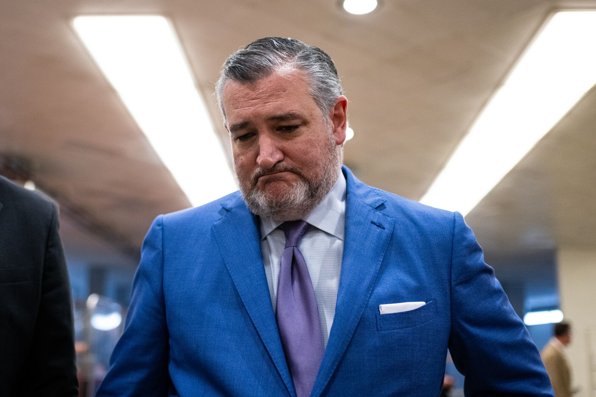 Ted Cruz Warns of 2026 Risk for GOP as Protests Show Voter Anger