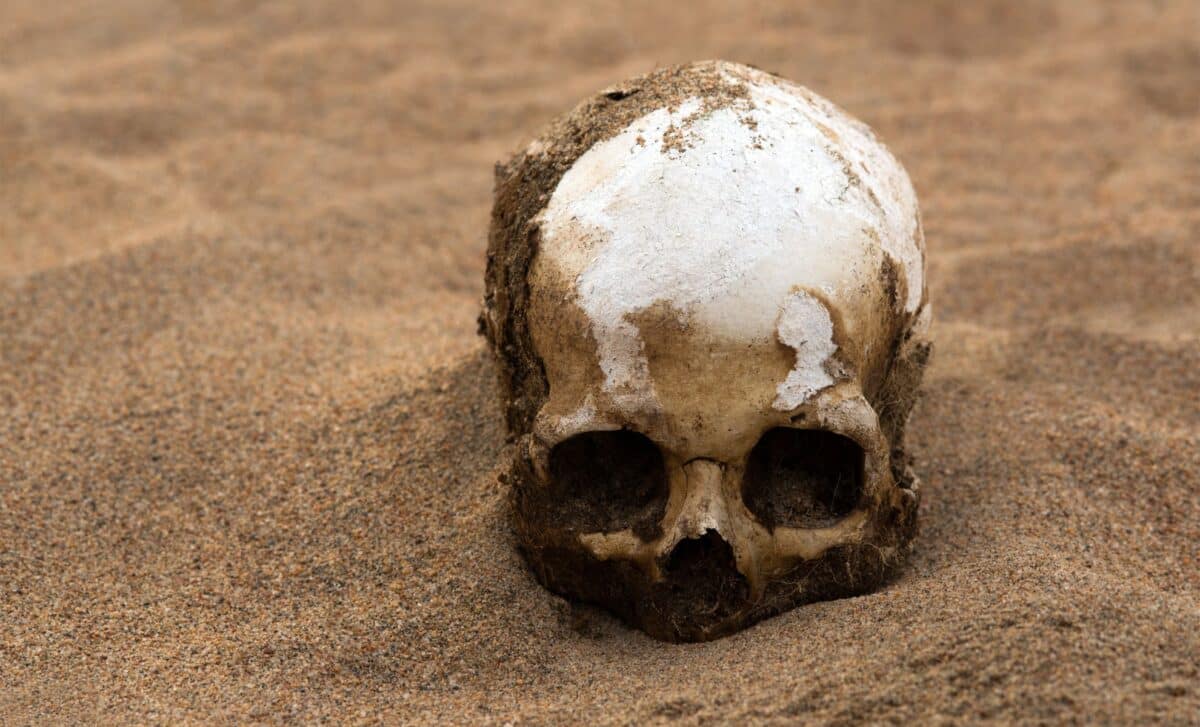 Scientists Just Found a One-Million-Year-Old Skull With Modern Human ...