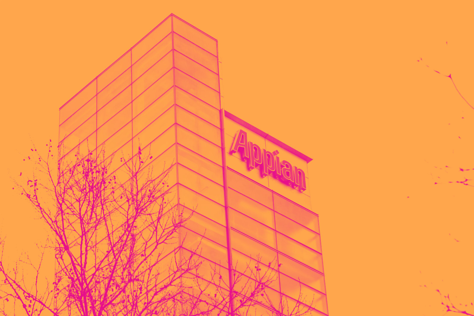 Appian, Dynatrace, GoDaddy, Rapid7, and Guidewire Software Shares Skyrocket, What You Need To Know