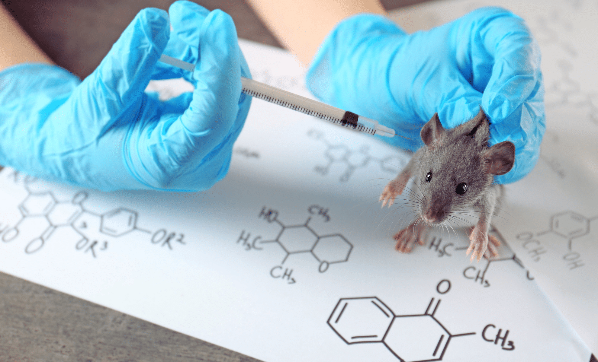 Scientists Insert Neanderthal Genes into Mice—What Happened Next Left ...