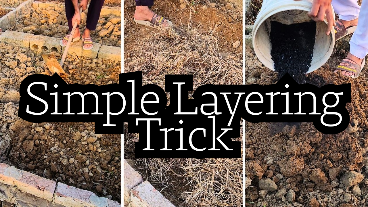 Simple Layering Trick to Make Your Soil Super Fertile