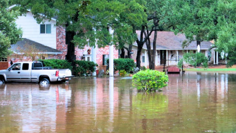 Essential emergency preparedness tips for flooding