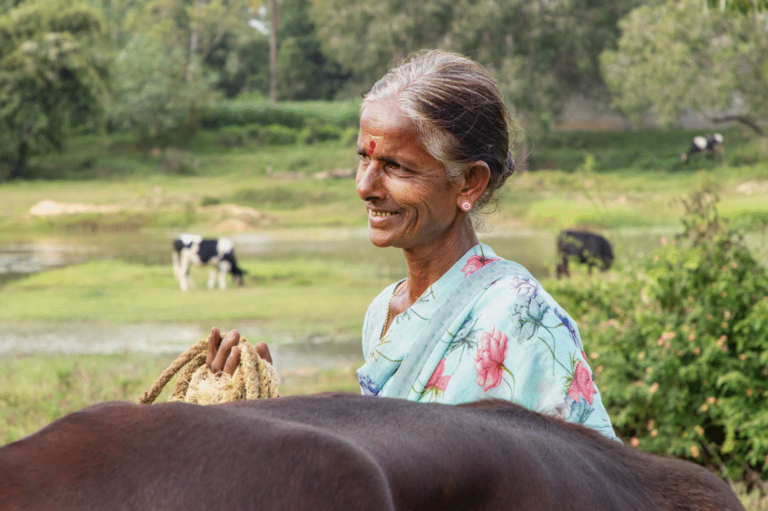 Migrating elephants are causing more encounters with humans in ...