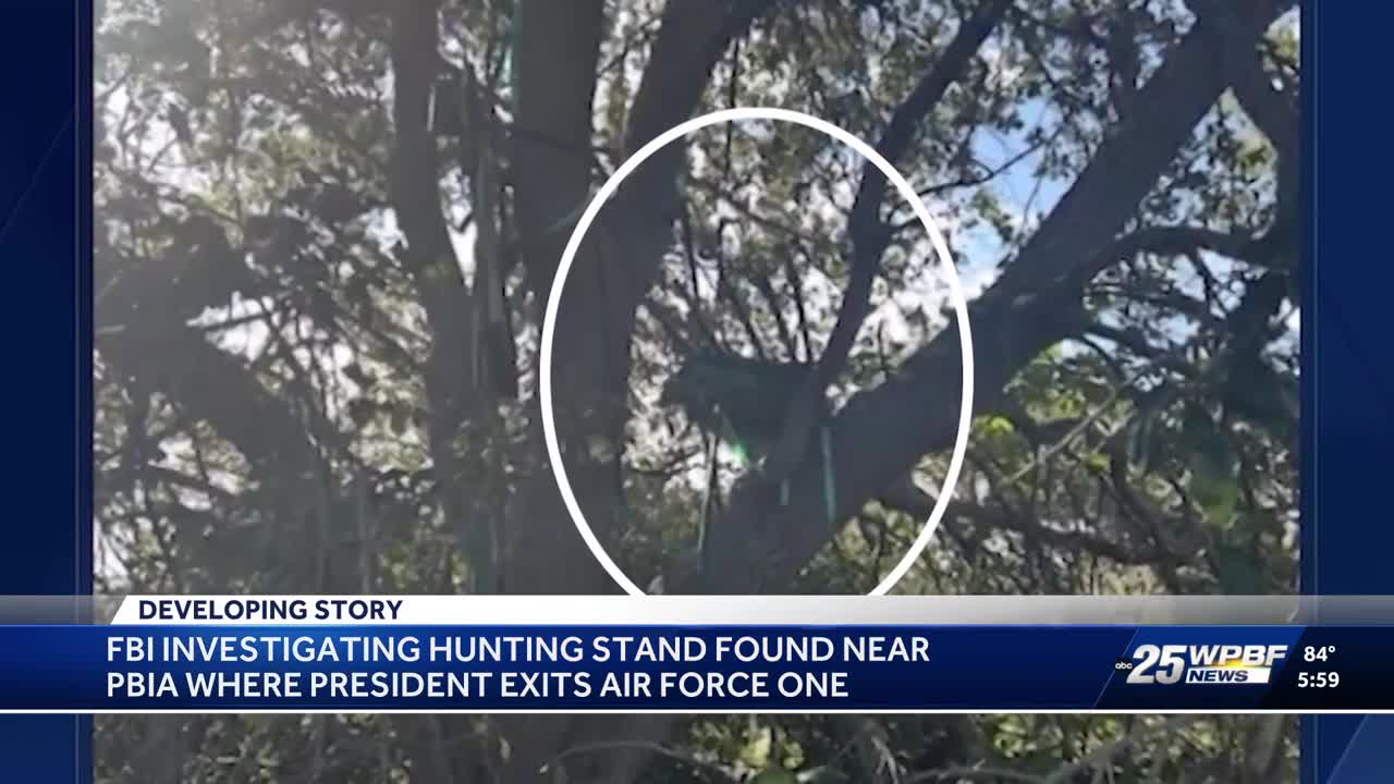 Newly pinpointed location of suspicious tree stand across from Air ...