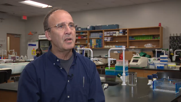 Invasive Joro spiders take over Georgia trees, but scientists may know ...