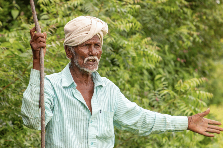 Migrating elephants are causing more encounters with humans in ...
