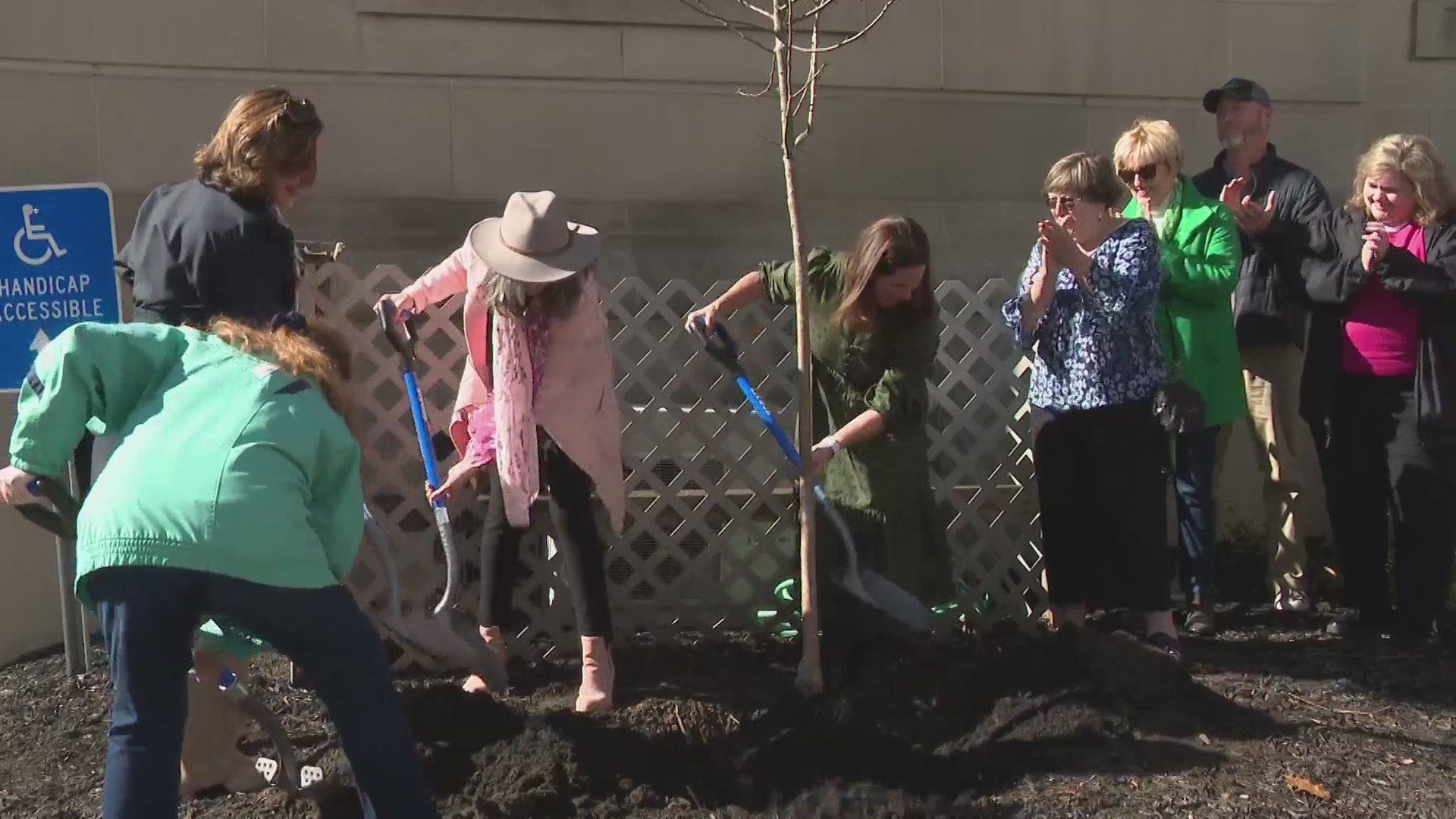 'Appalachian Spring' tree-planting project kicks off in Charleston