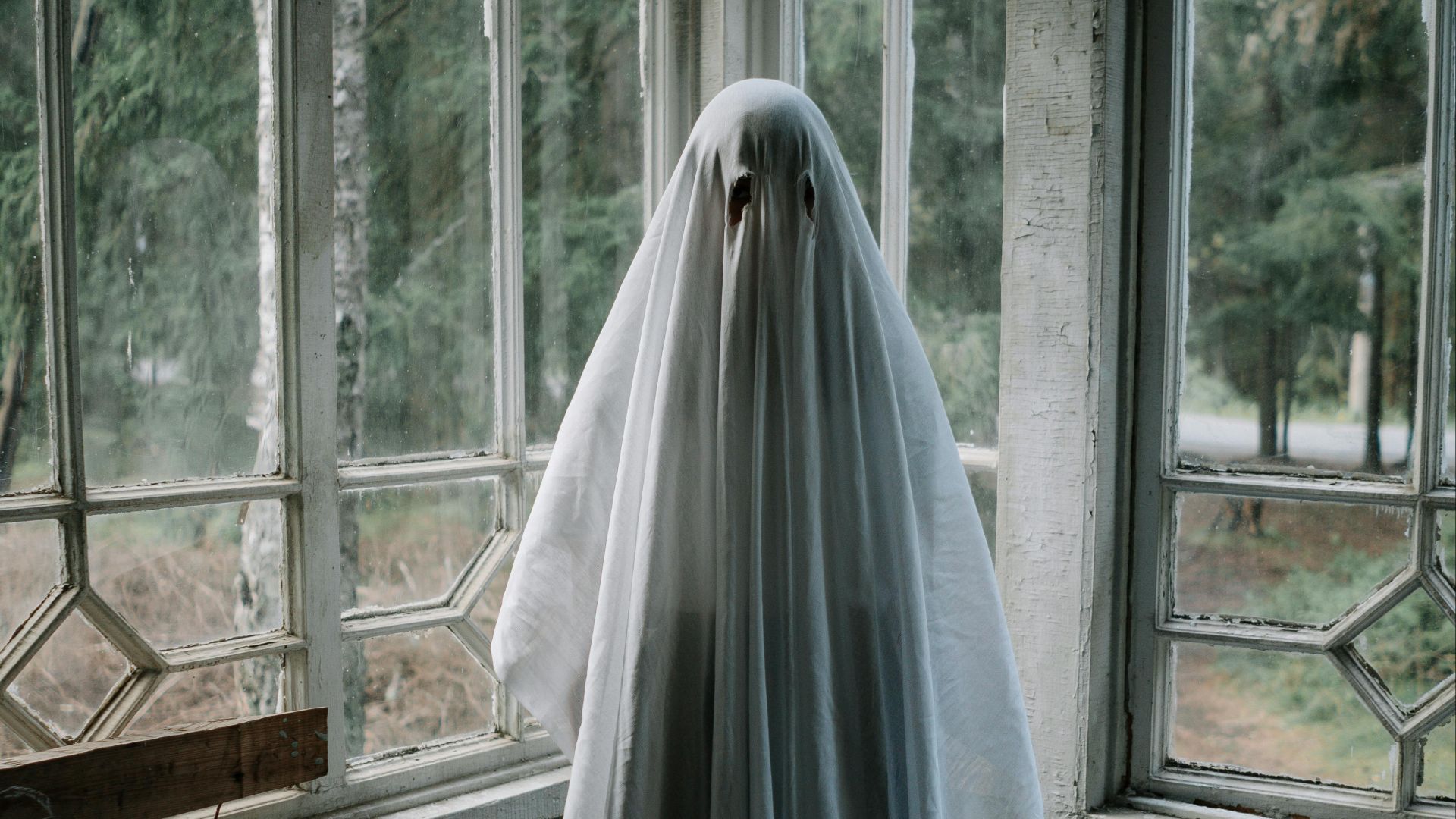 20 Scary Stories That Are Based on Real-Life