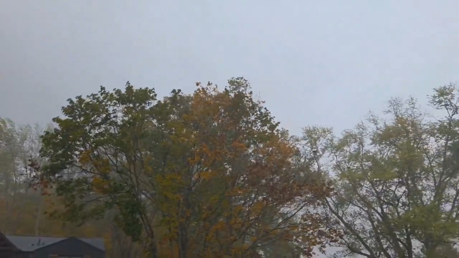 Autumn storm brings heavy rain and strong winds to Finleyville, USA