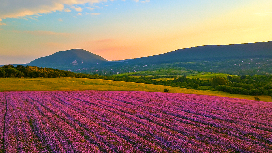 Hongarije – Landschappen van het Pilisgebergte