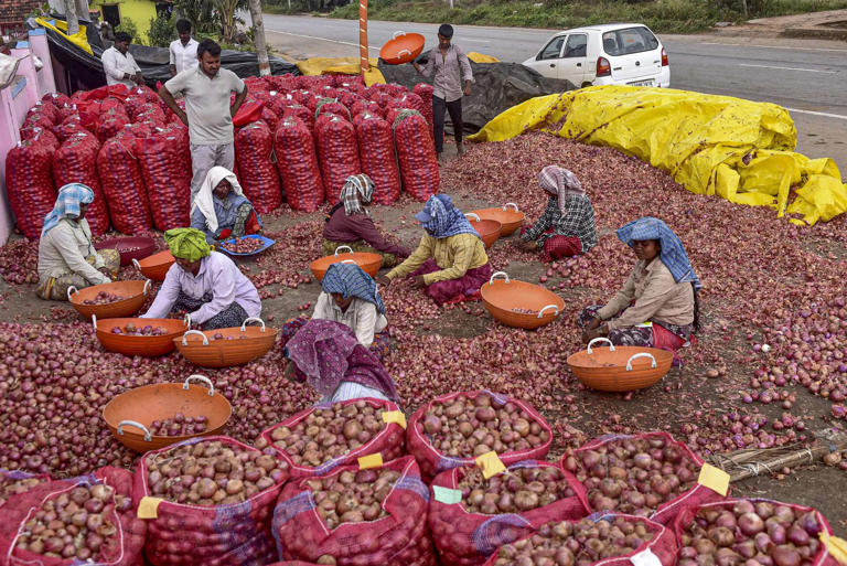 Onion tears flood Maha, farm despair deepens