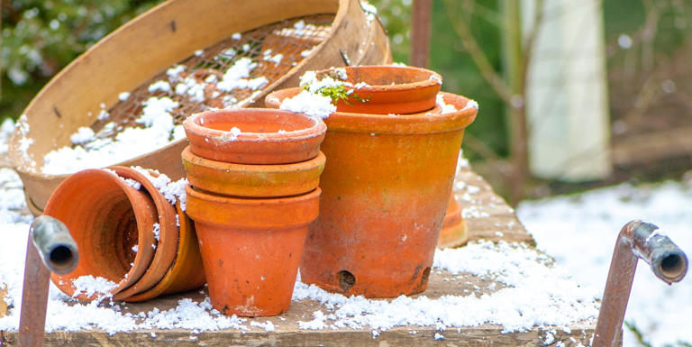 Winter can wreck your terracotta pots — here's how to protect them