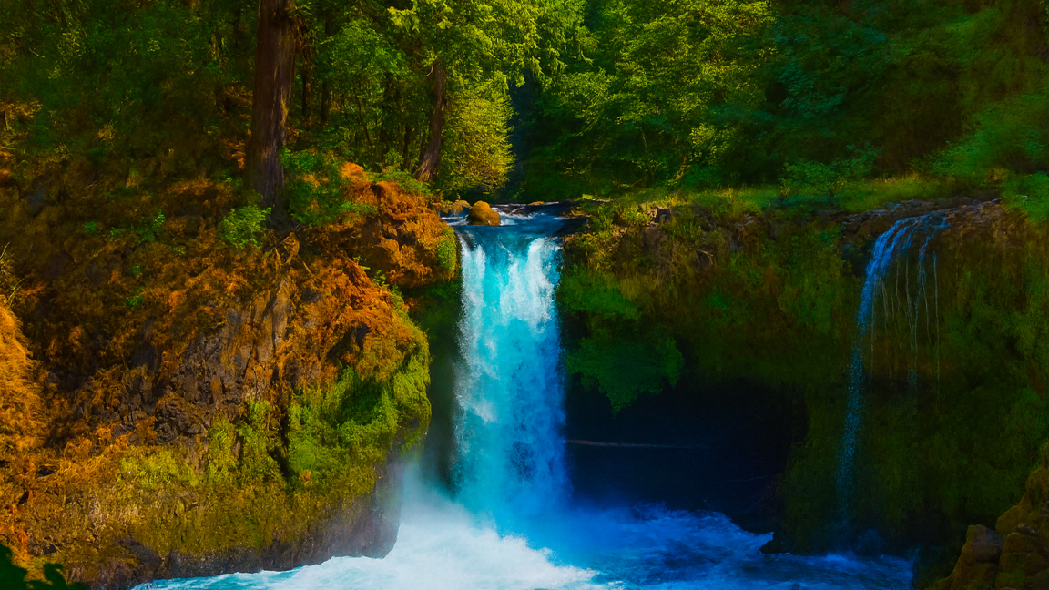 Cascata nella giungla: video naturalistico in 4K