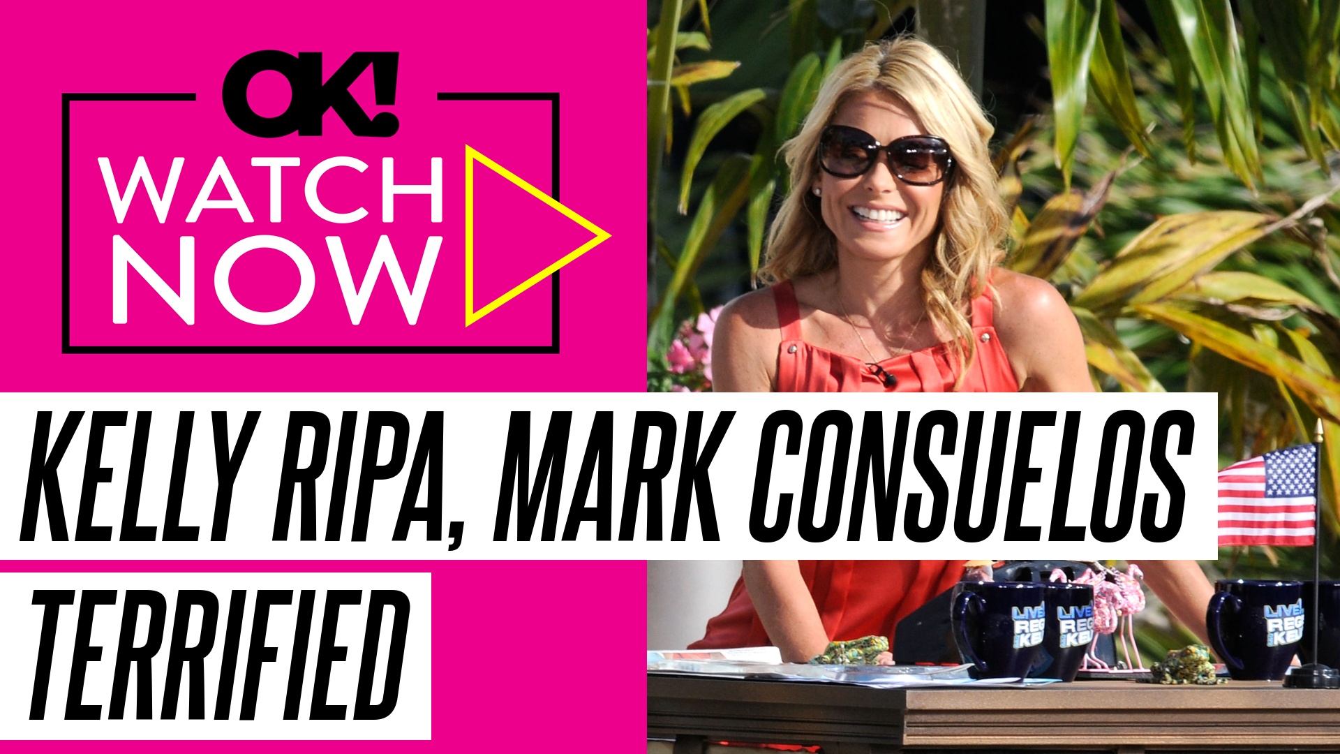 Why 'Terrified' Kelly Ripa and Mark Consuelos Thought 'Something Bad ...