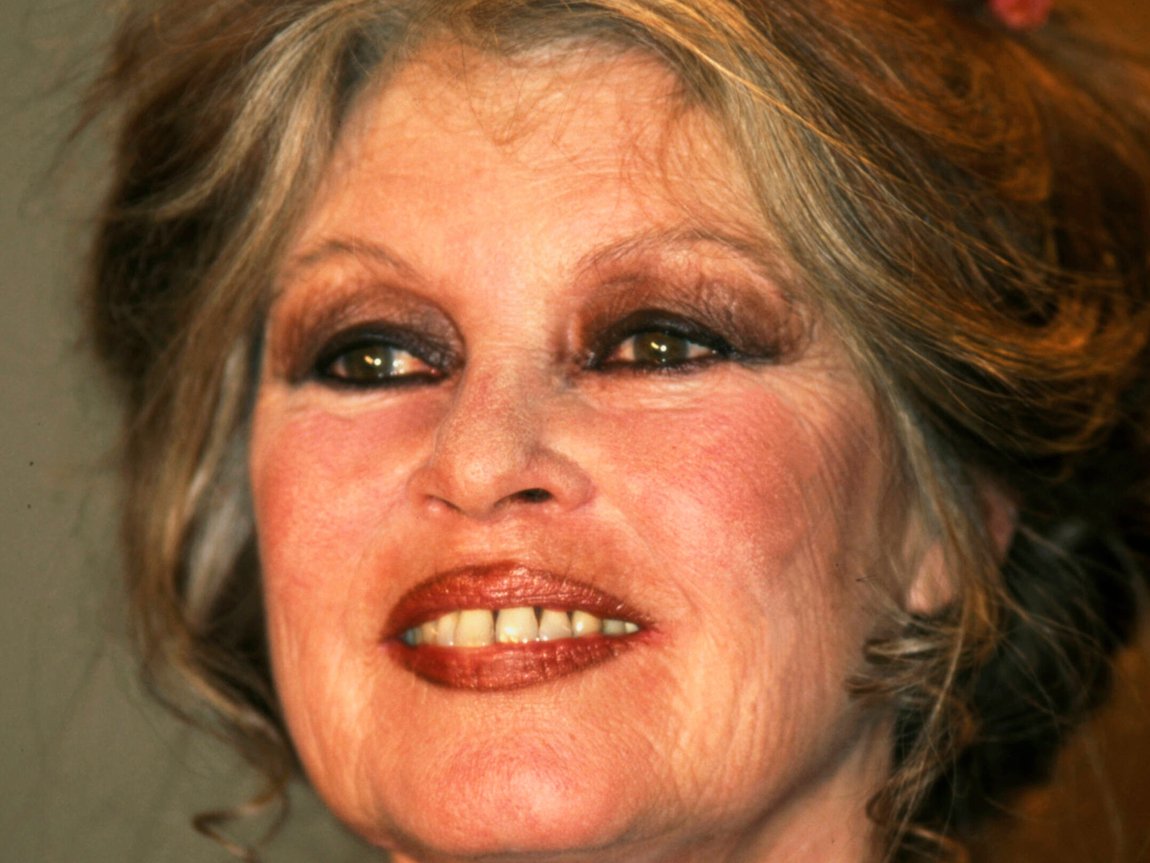 Brigitte Bardot released from hospital after three weeks
