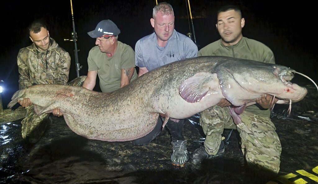 British tourists reel in record 258lb catfish in gruelling 30-minute battle