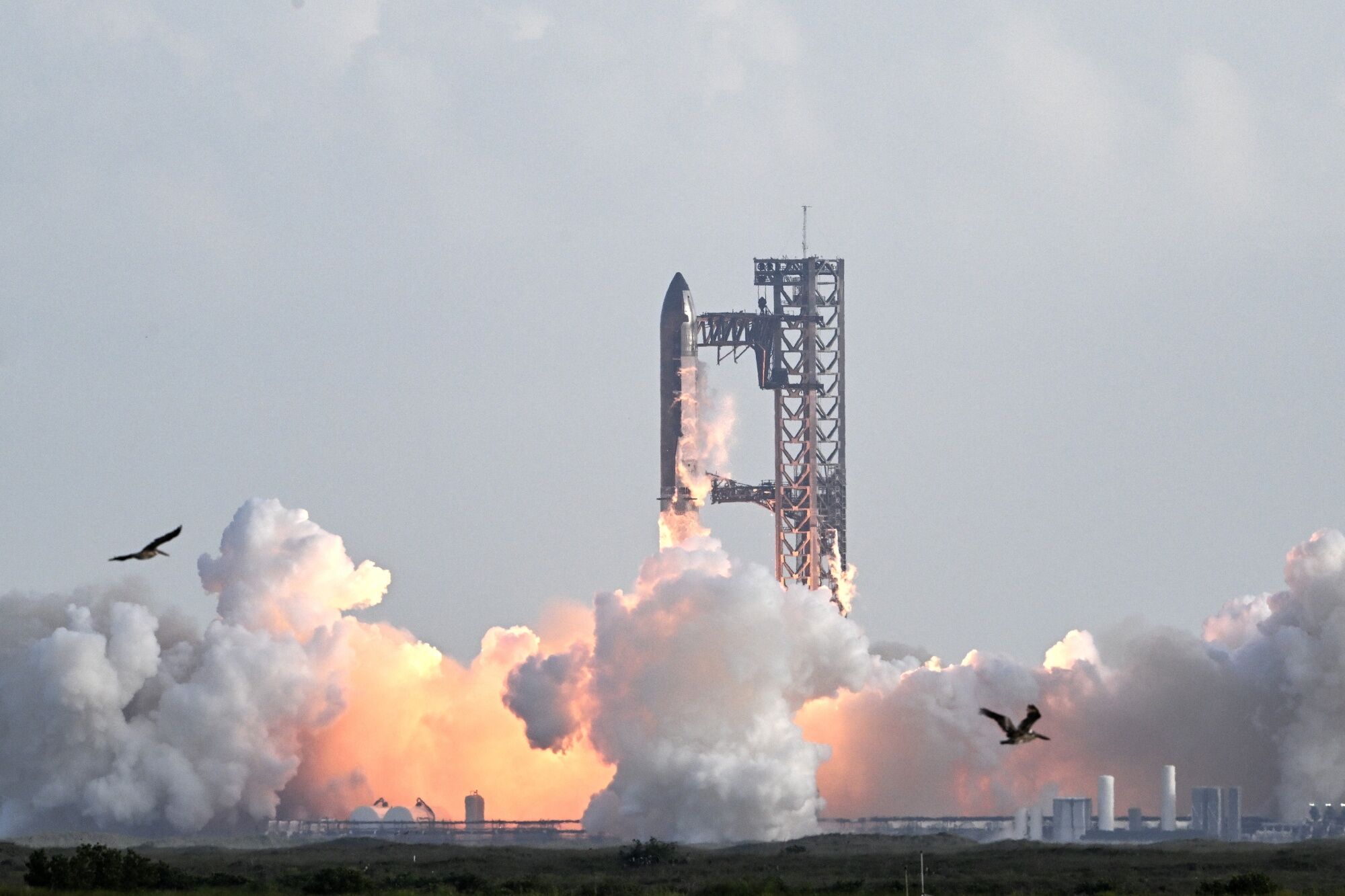 NASA Opening Up SpaceX Moon Landing Contract to Competition