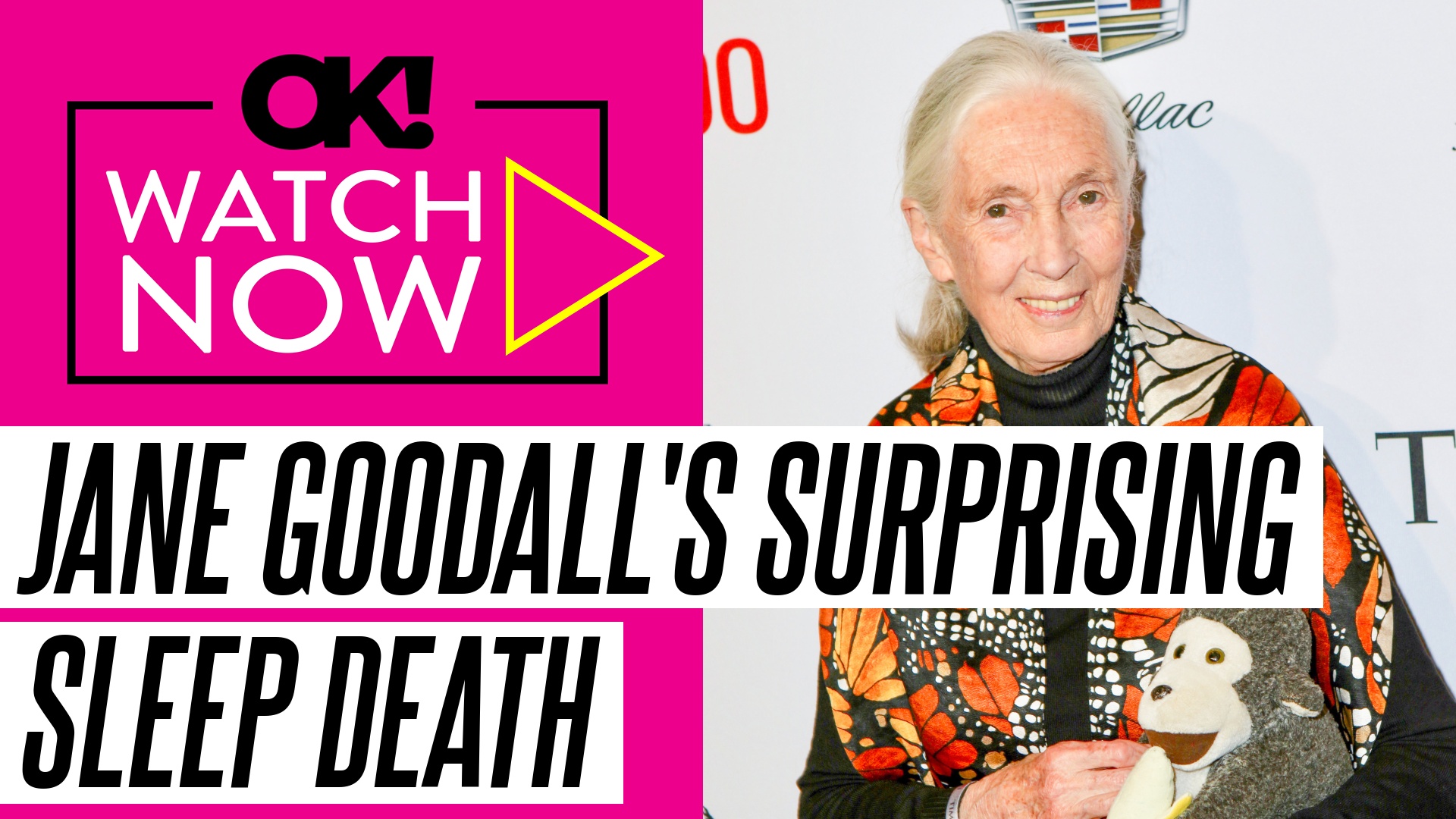 What Was Jane Goodall's Cause of Death? How Conservationist Passed Away ...