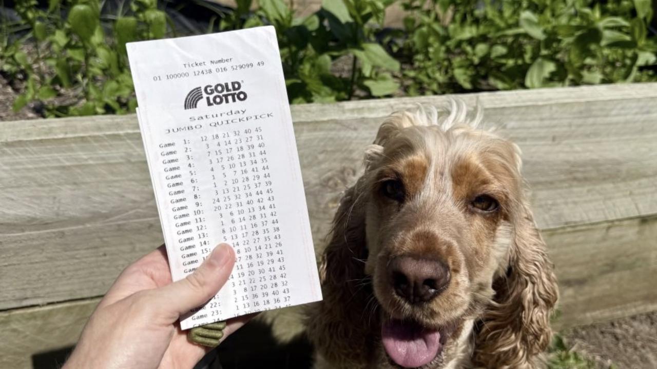 $1m Lotto winner’s last-minute decision