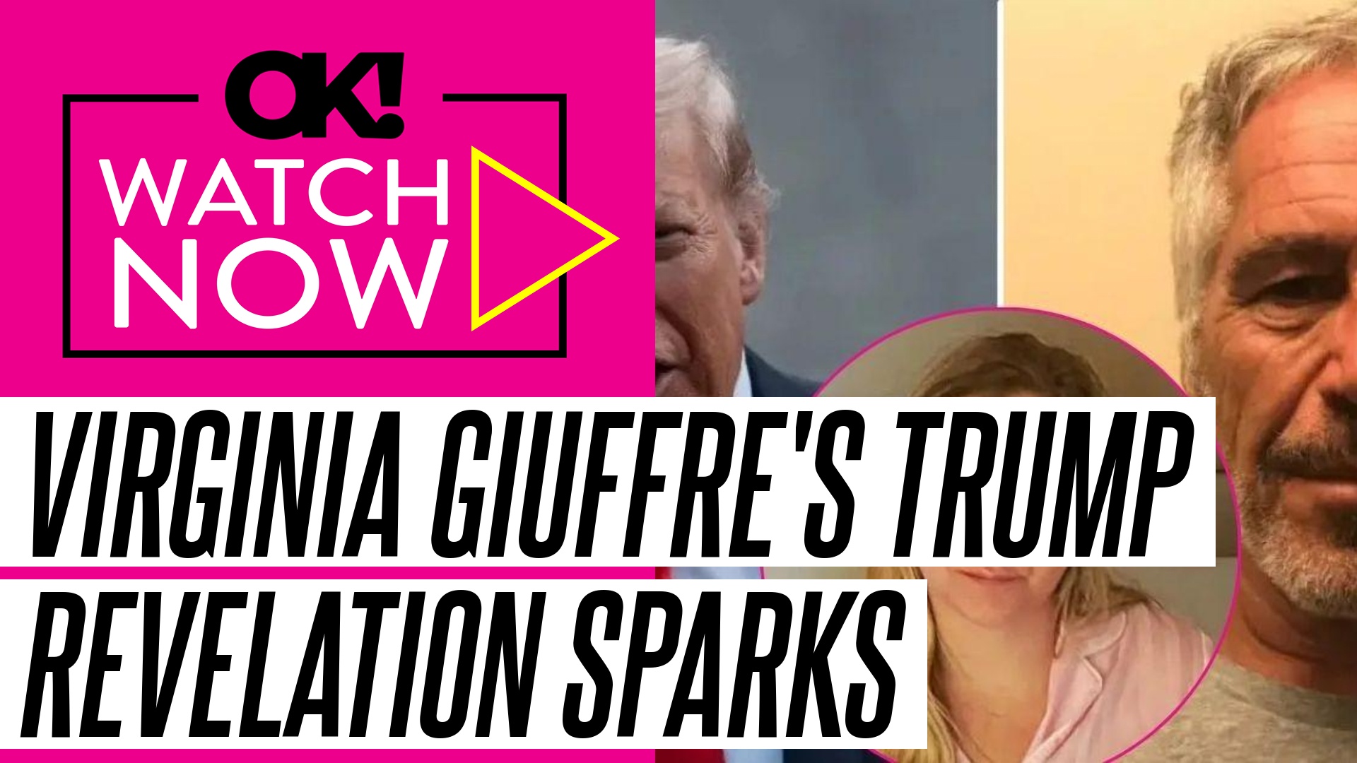 'Huge Trump Fan' Virginia Giuffre Believed He Would 'Release Epstein ...