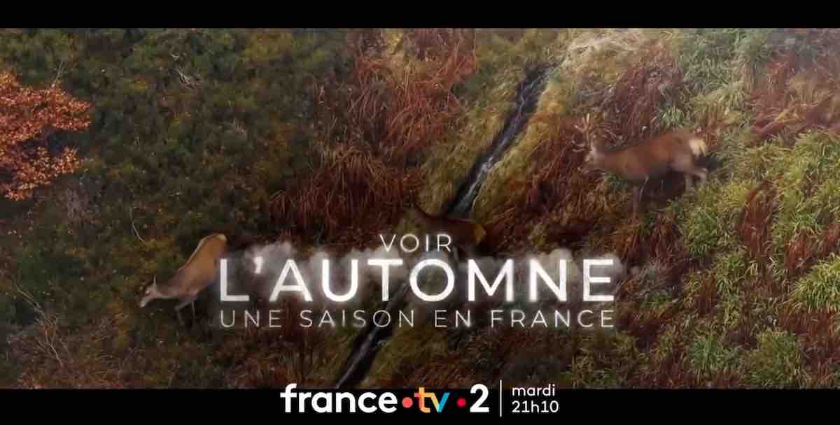 « Voir l’automne, une saison en France » : votre documentaire inédit ce ...