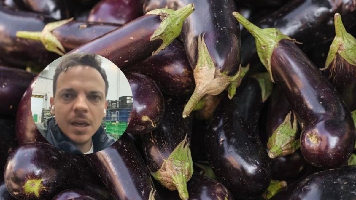Yannick, 'El Frutero de TikTok': “Las frutas y verduras de color morado ...