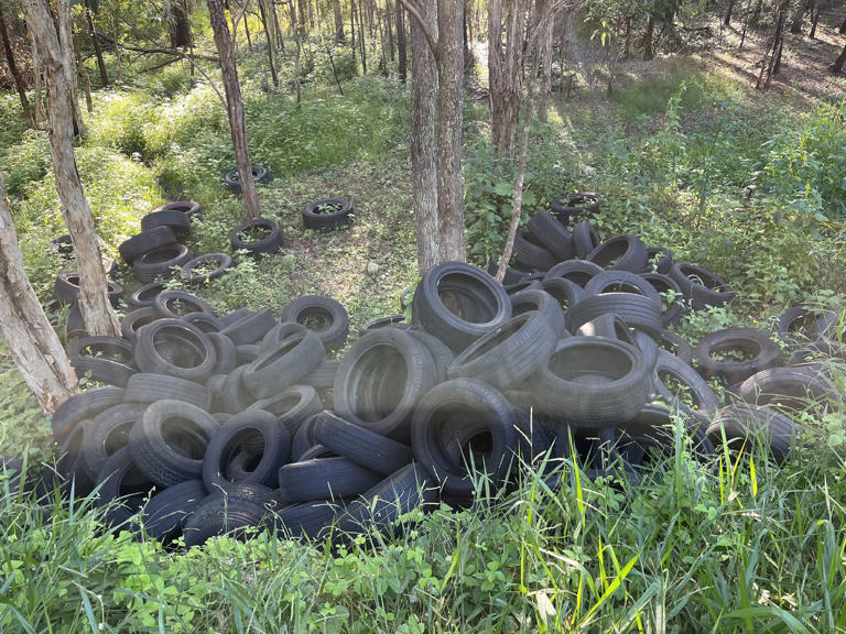 Sinister late-night discovery in Aussie bushland prompts $6,700 fine