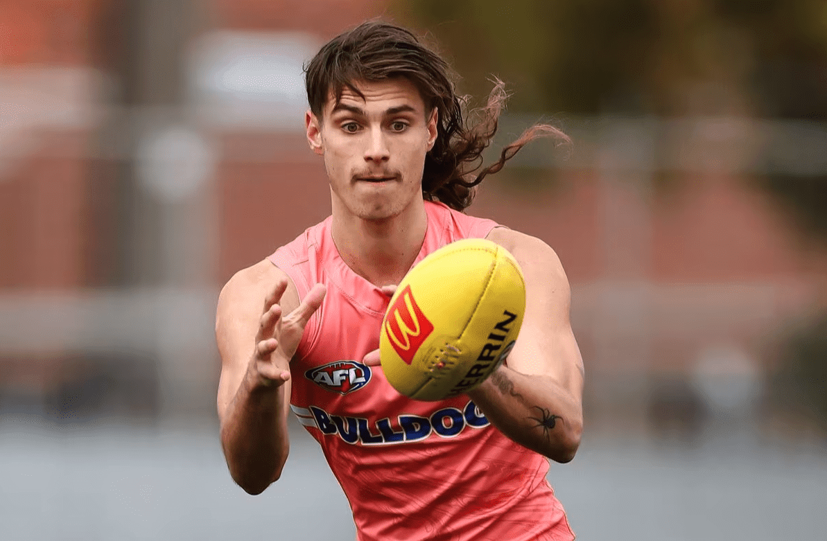 Western Bulldogs delist premiership hero, winger