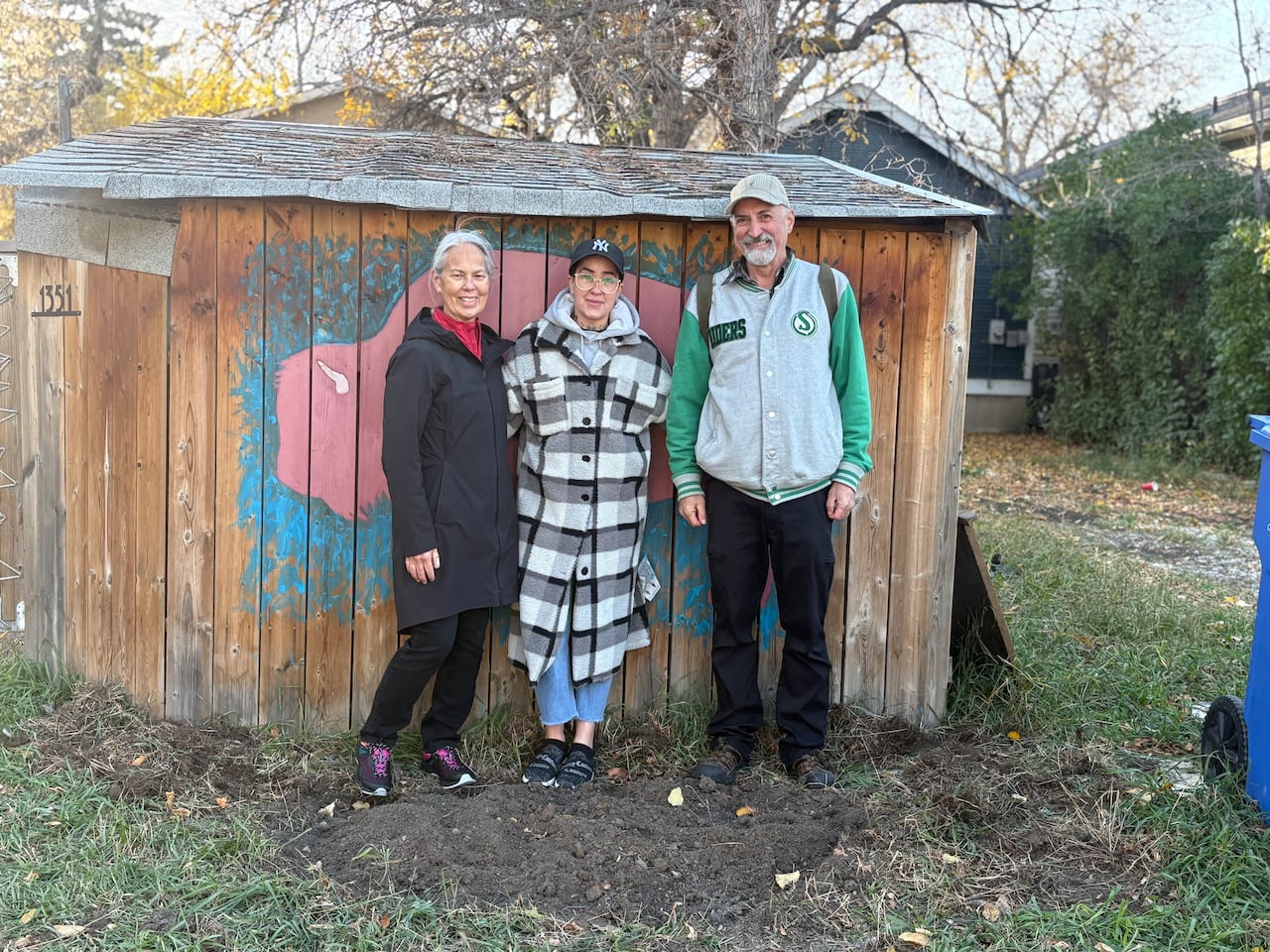 Bison return to a Regina neighbourhood, but this time as art