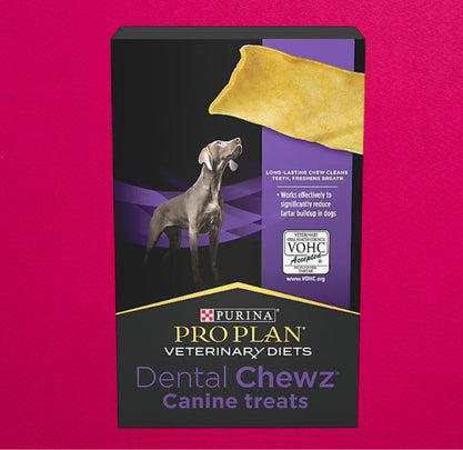 These vets are also pet owners – here are 11 products they can't live ...