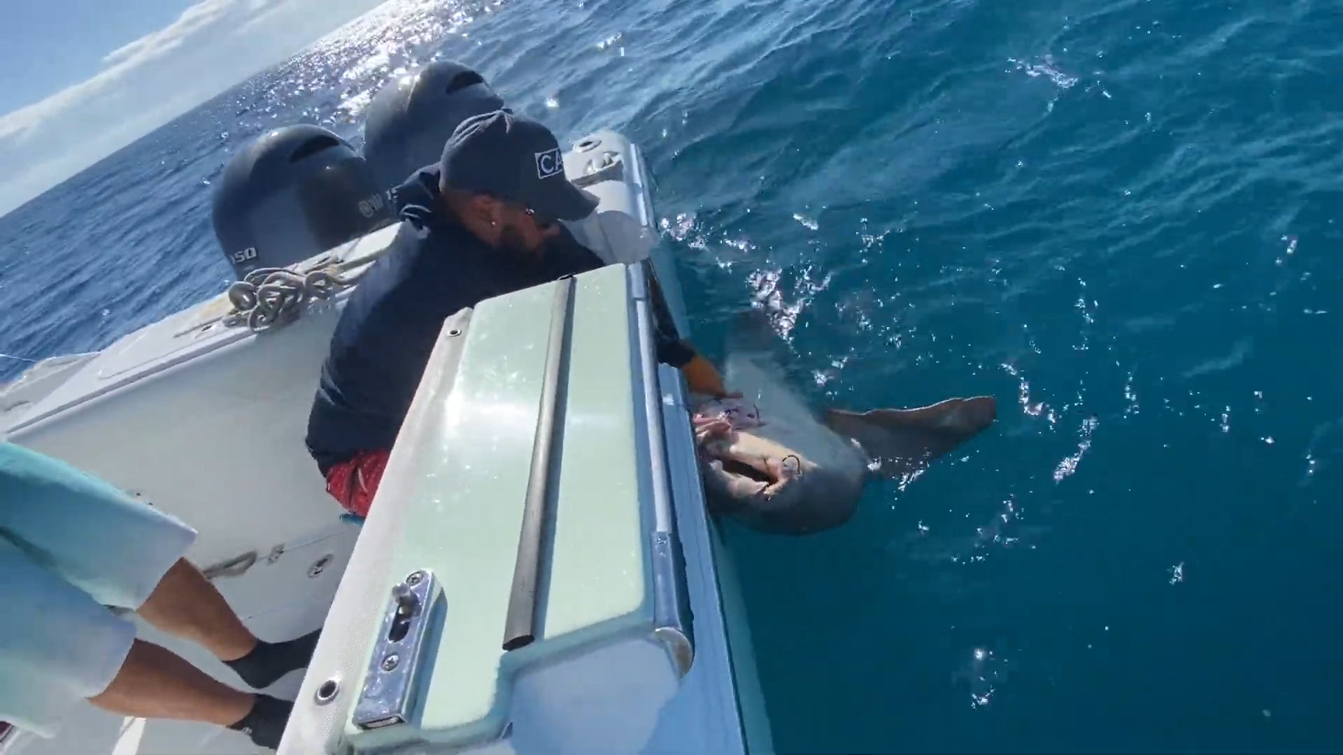Fishing for a giant sea monster in the deep