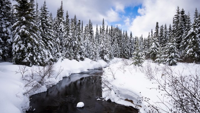 Researchers discover game-changing method to clean up polluted water ...